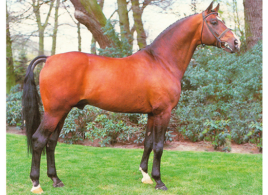 Robert Redford and Lets Merge - Stable Express