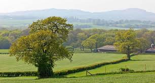 Alexandra Wolters-Mannix - Stable Express