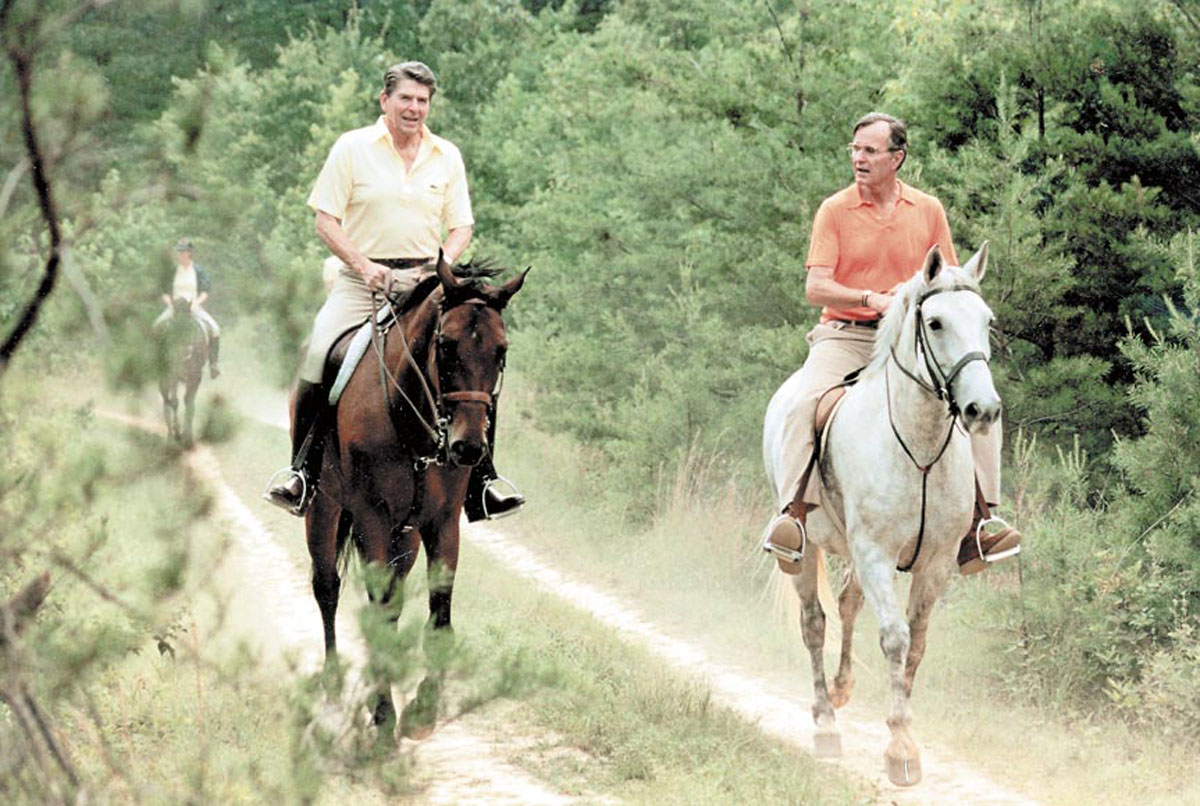 American Presidents and Their Horses - Stable Express