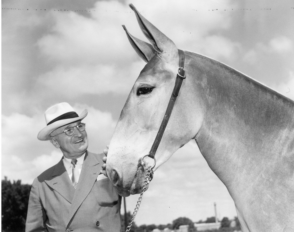 American Presidents and Their Horses - Stable Express