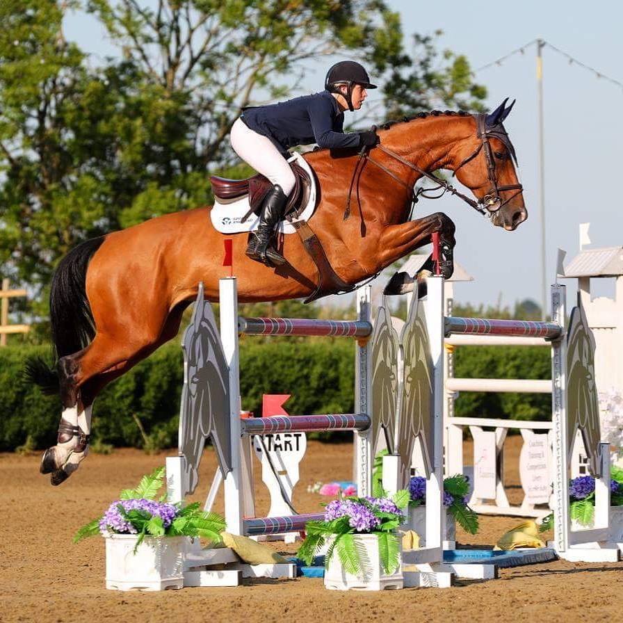 Monarch Equestrian - Stable Express