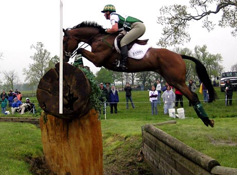 American Presidents and Their Horses - Stable Express