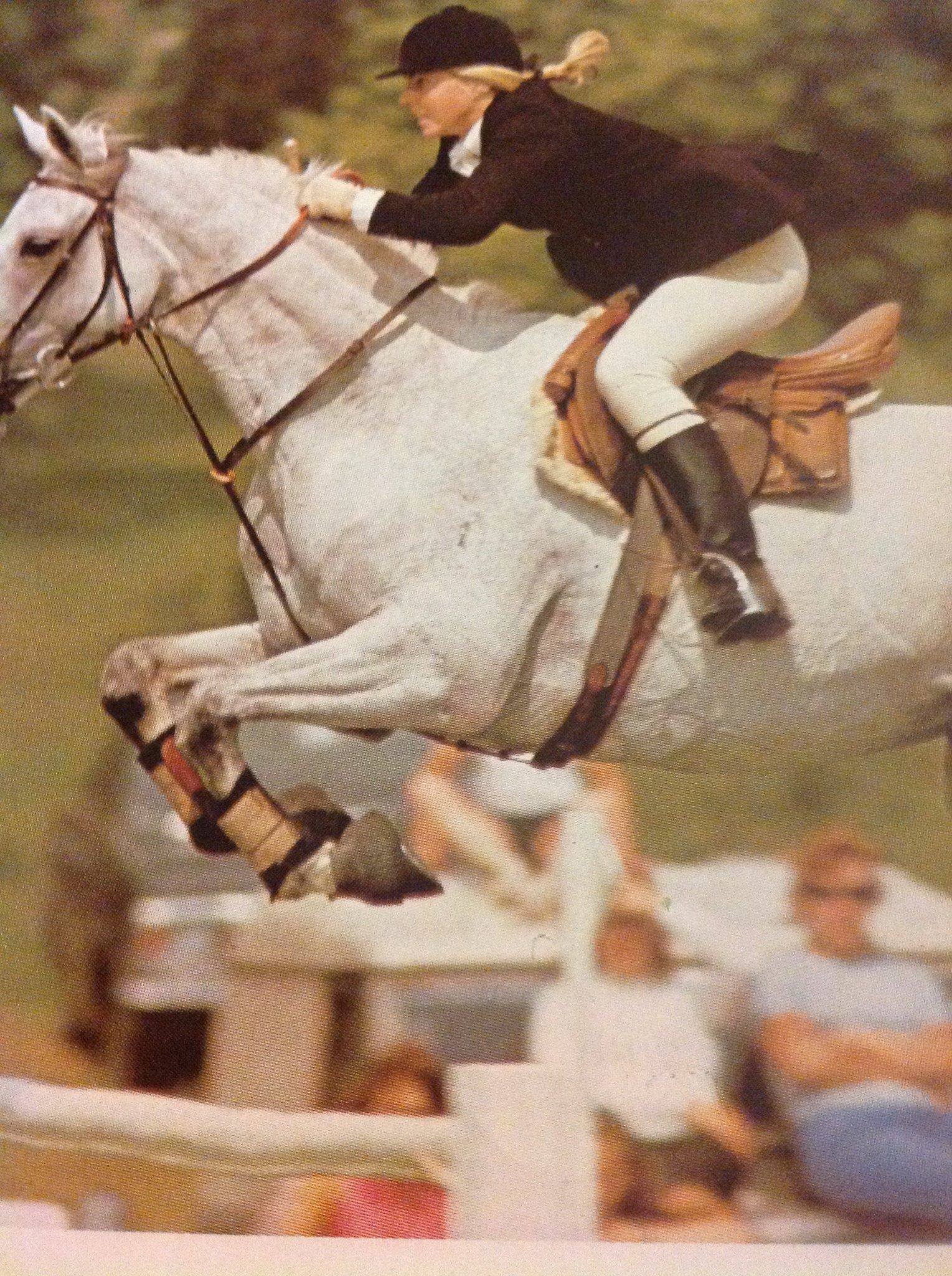 Ann Moore - Stable Express