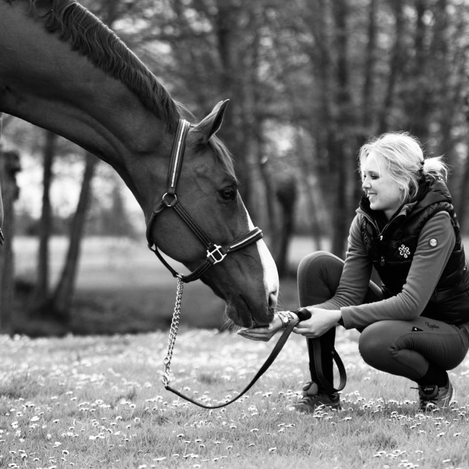 Antonia Wills - Stable Express