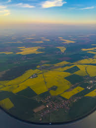 Derek Ricketts - Stableexpress