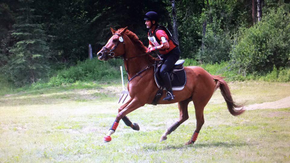 Barry Brogan - Stable Express