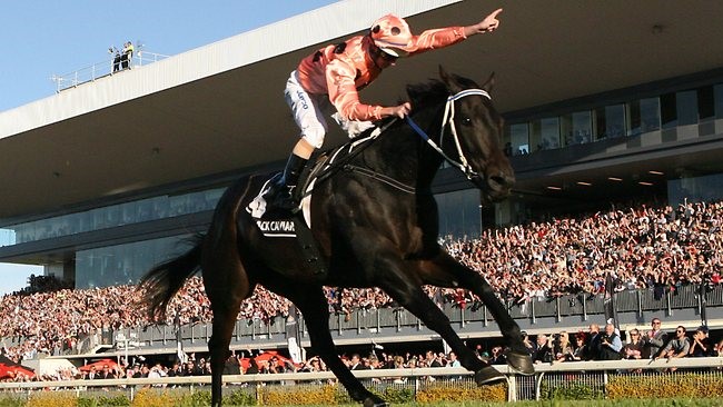 Black Caviars 5 Best Wins - Stable Express