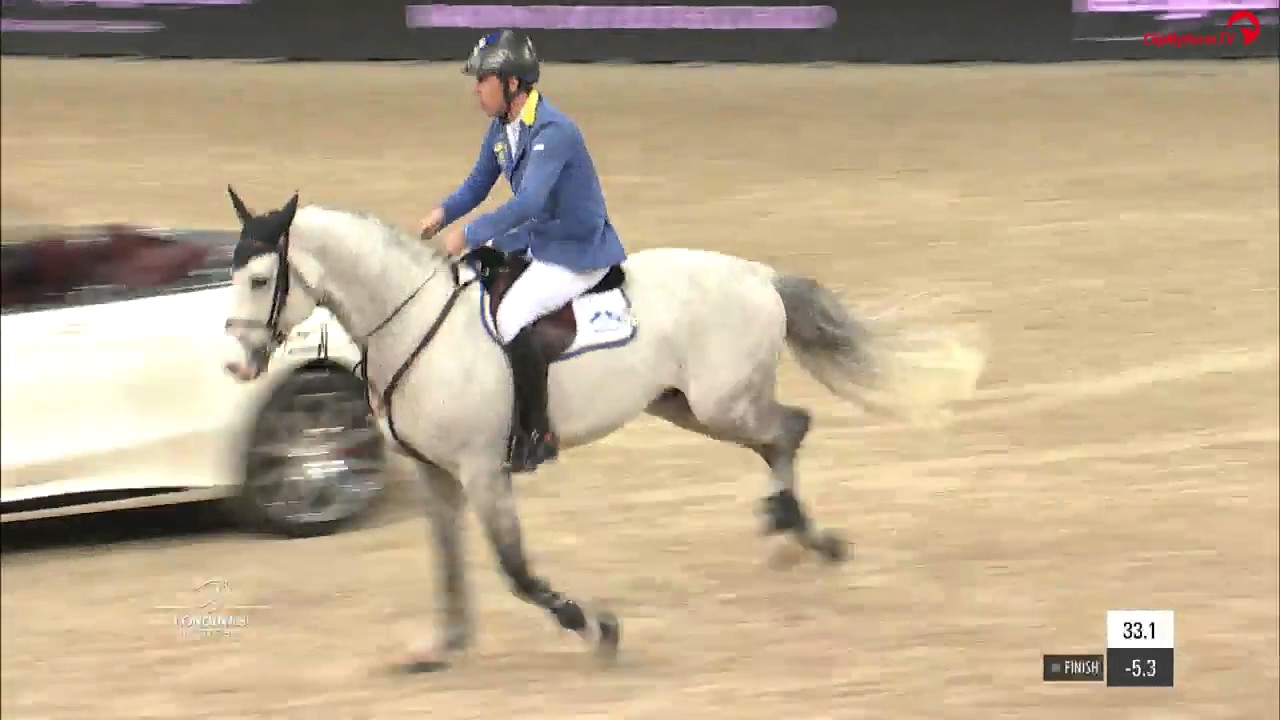 Caribis Z - Stable Express