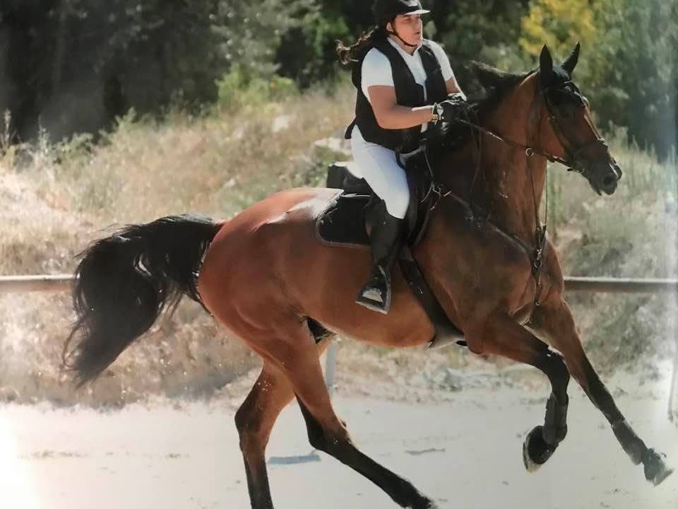 Caroline Bradley - Stable Express