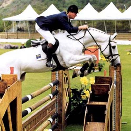 Carthago Z - Stable Express