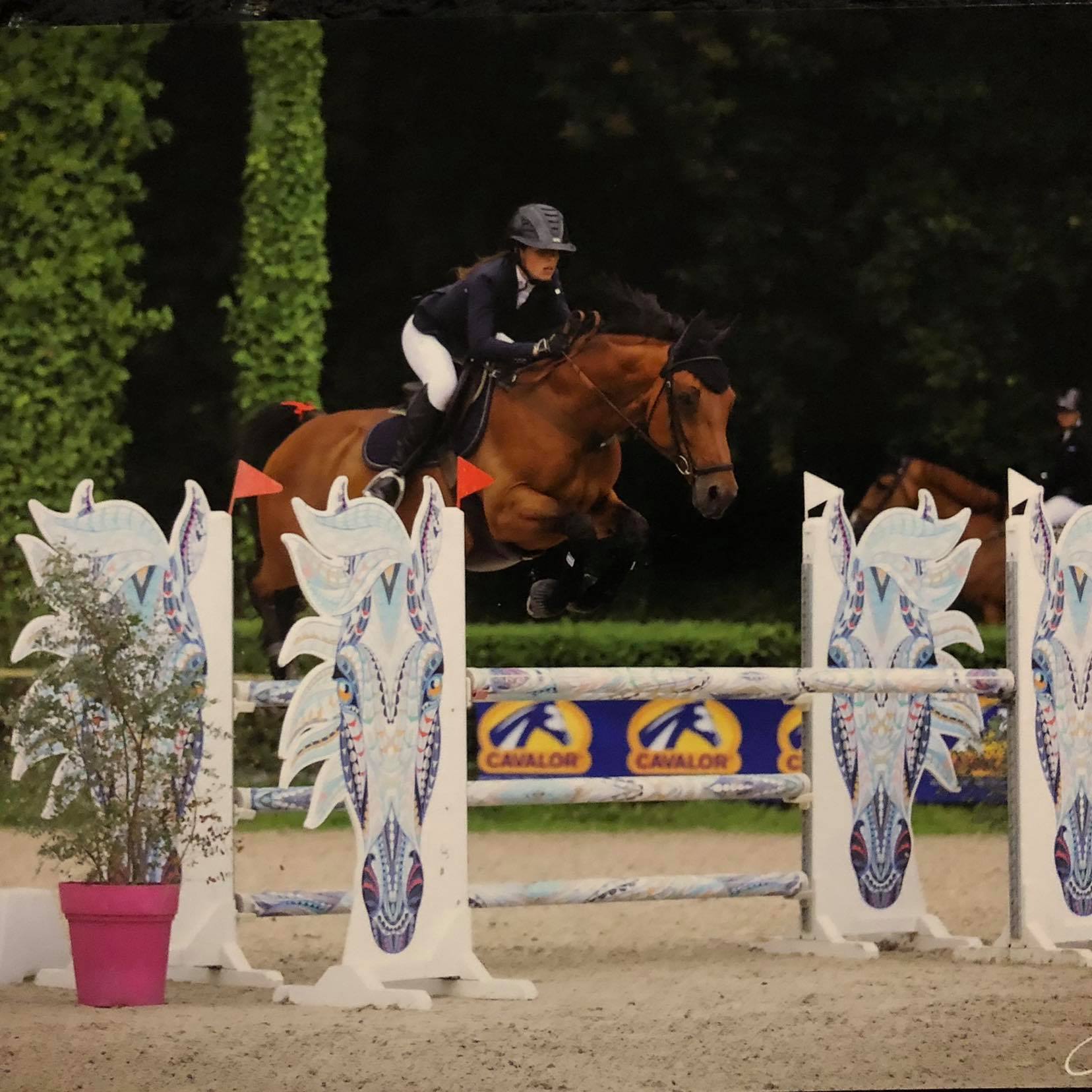 Andrew Saywell - Stableexpress