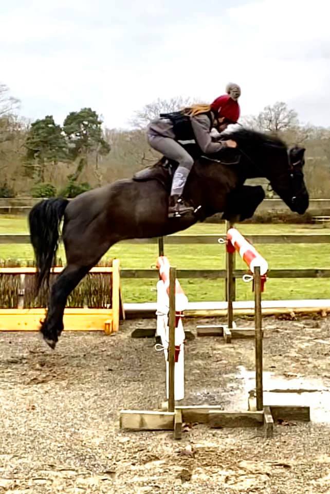 Claudia Groves Young Equestrienne and Her 11hh Dartmoor Pony, Trooper ...
