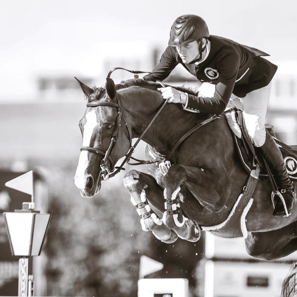 Dressage - Stable Express