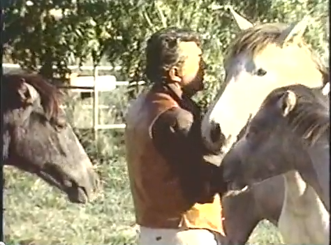 Dean Martin and His Purebred Andalusian Horses - Stable Express