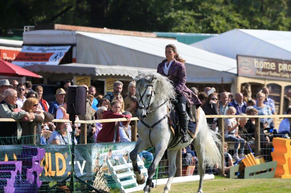 The Devils Horsemen - Stable Express