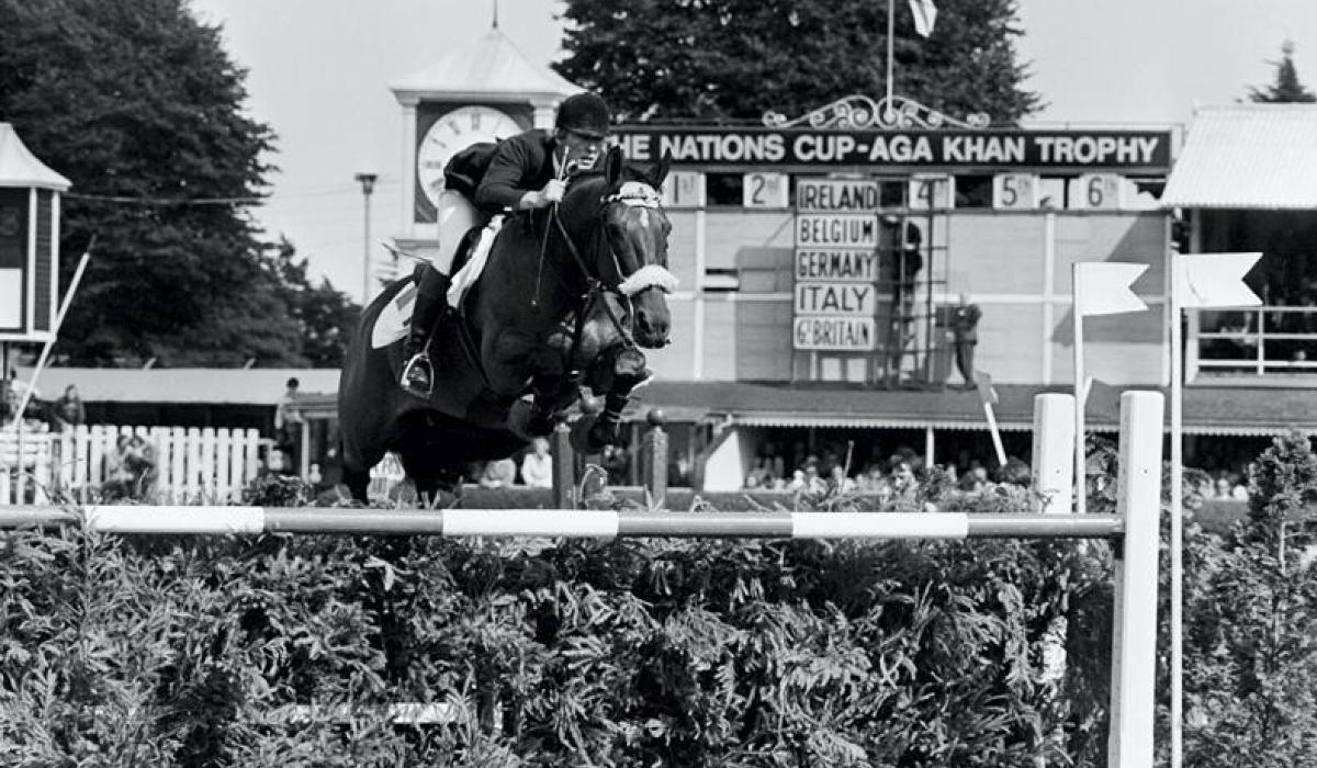 Boomerang - Stable Express