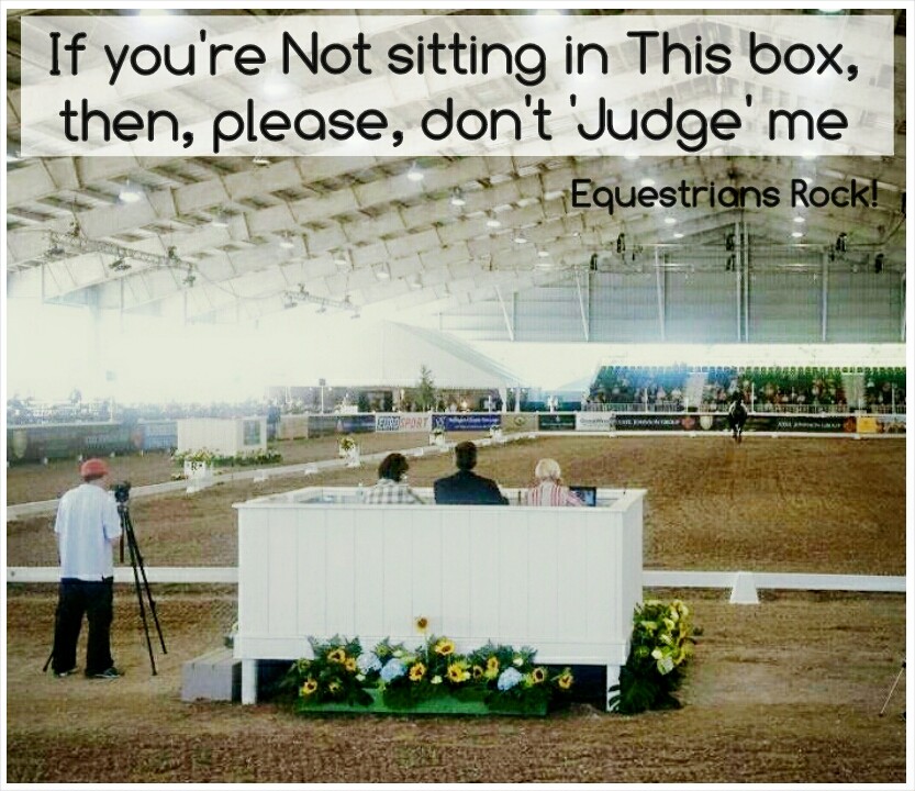 Elvis - Stable Express