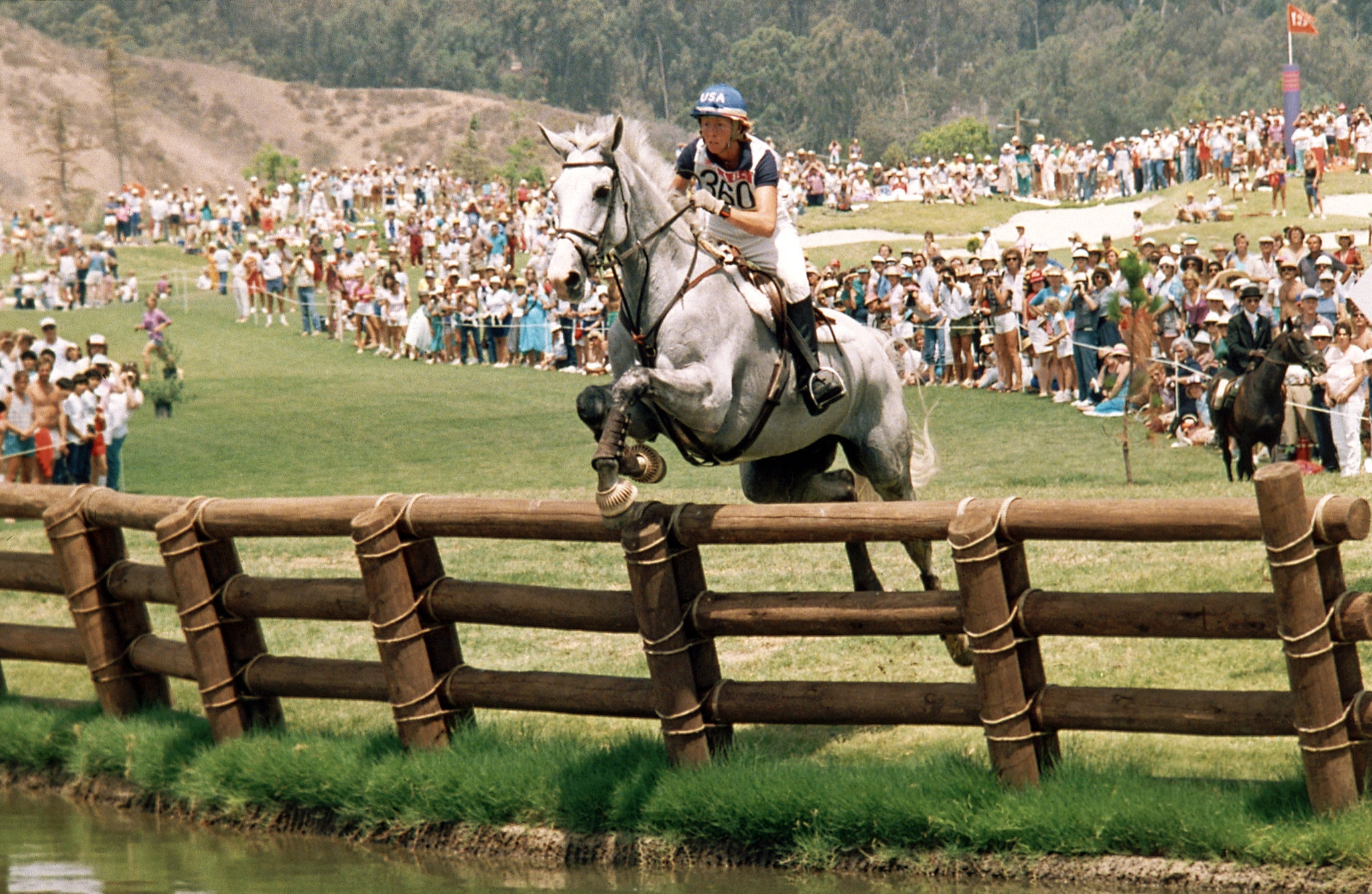 Eventing Horses - Stable Express