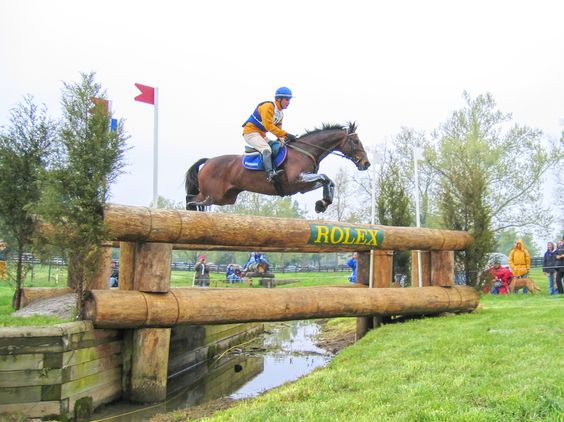Eventing Horses - Stable Express