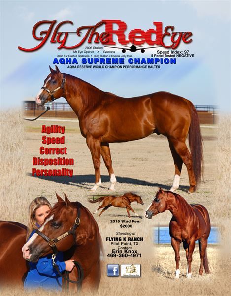 Fly The Red Eye, Quarter Horse Stallion, Texas - Stable Express