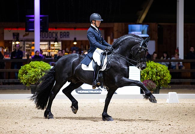 Friesian Focus - Evening Of Musical Freestyles - Stable Express