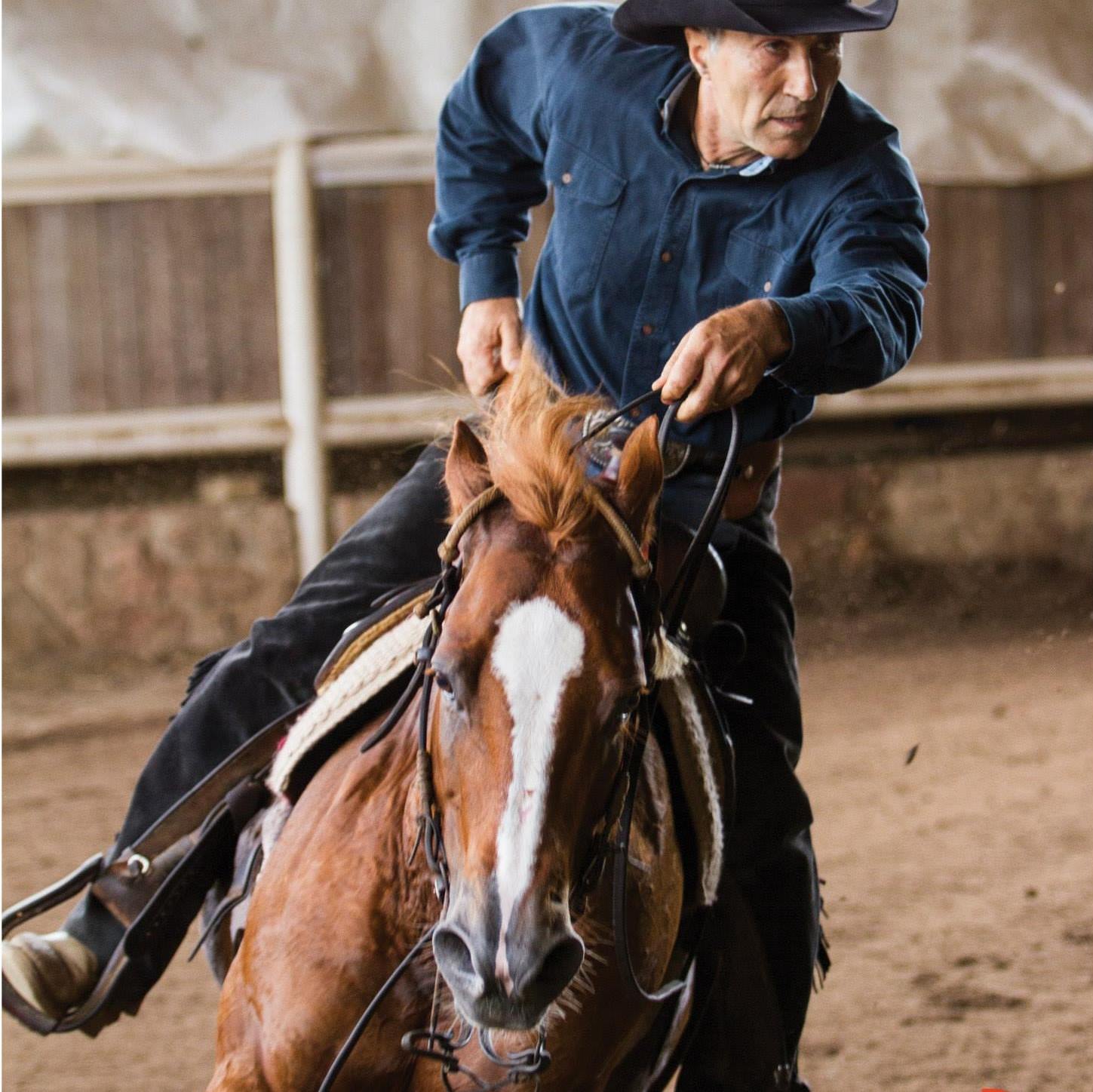 George Whitaker - Stable Express