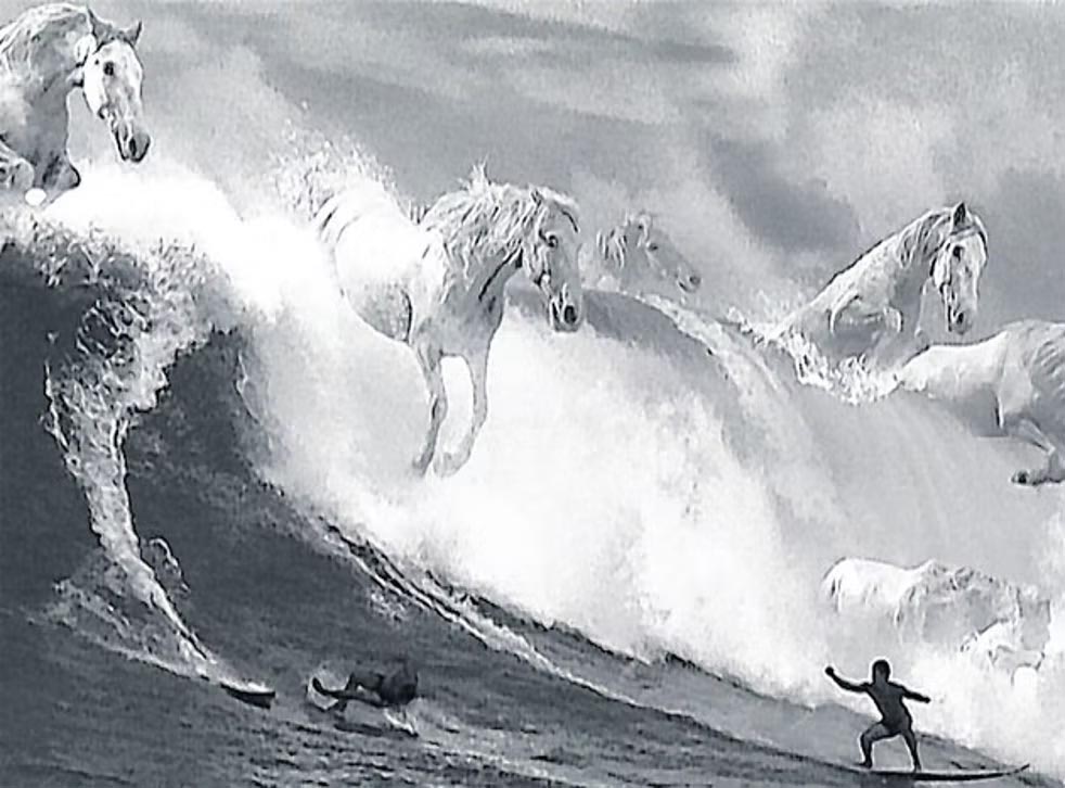 Guinness Surfer Ad (with Horses) - Stable Express