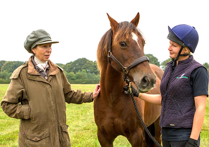 Ramiro Z - Stable Express