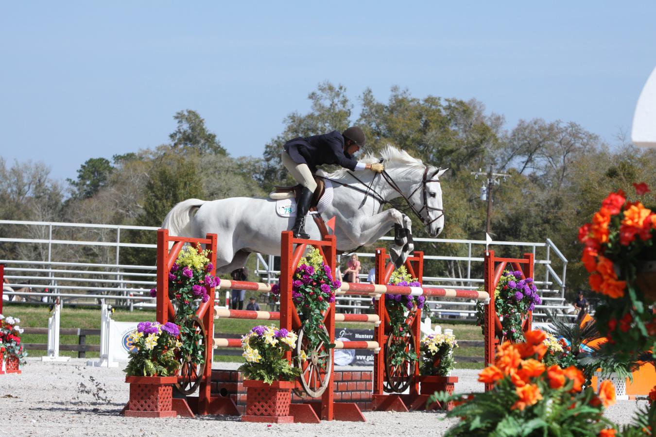 Grannus - Stable Express