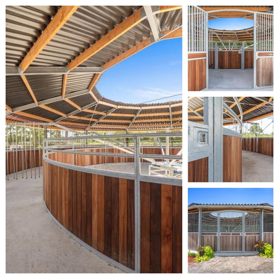 Horse Walkers - Stable Express