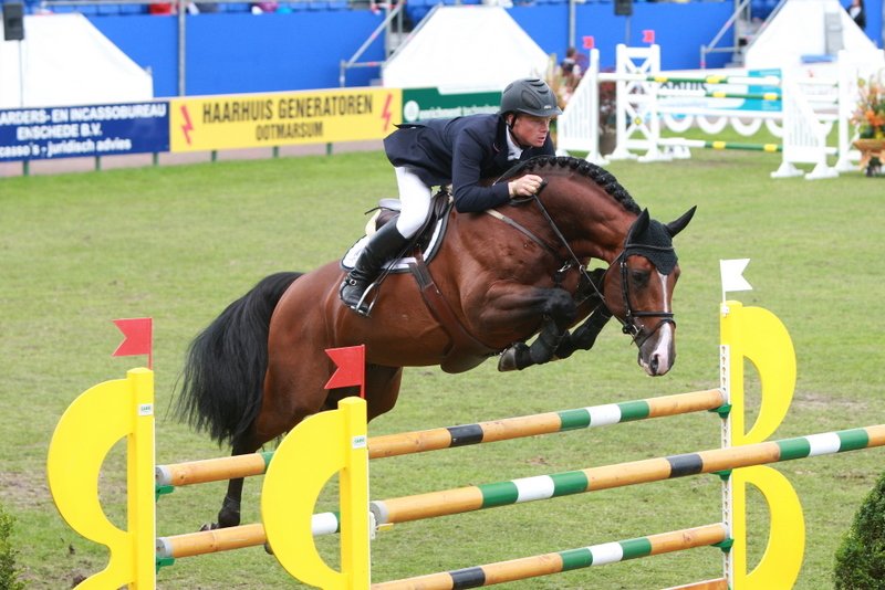 Coloured Stallions – StableExpress