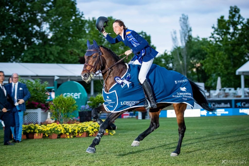 Coloured Stallions – StableExpress