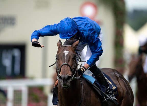 Blue Point – The Masterful Stallion that Ruled the Racetrack ...