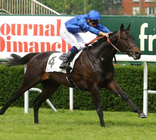 Cloth of Stars (Sea The Stars x Strawberry Fledge) – Horse Racing ...