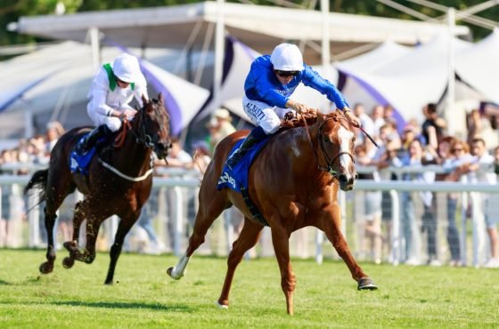 Race Horse Stallions – StableExpress