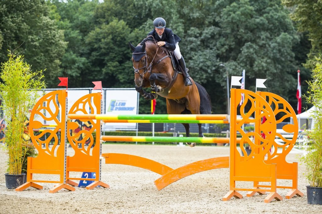 Lusitano Stallions – StableExpress