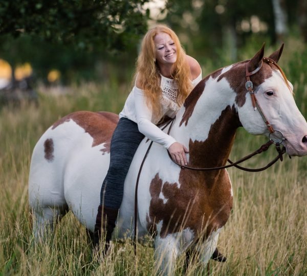 Tristans Millennium – APHA/CPtHA Chestnut Frame Overo Stallion ...