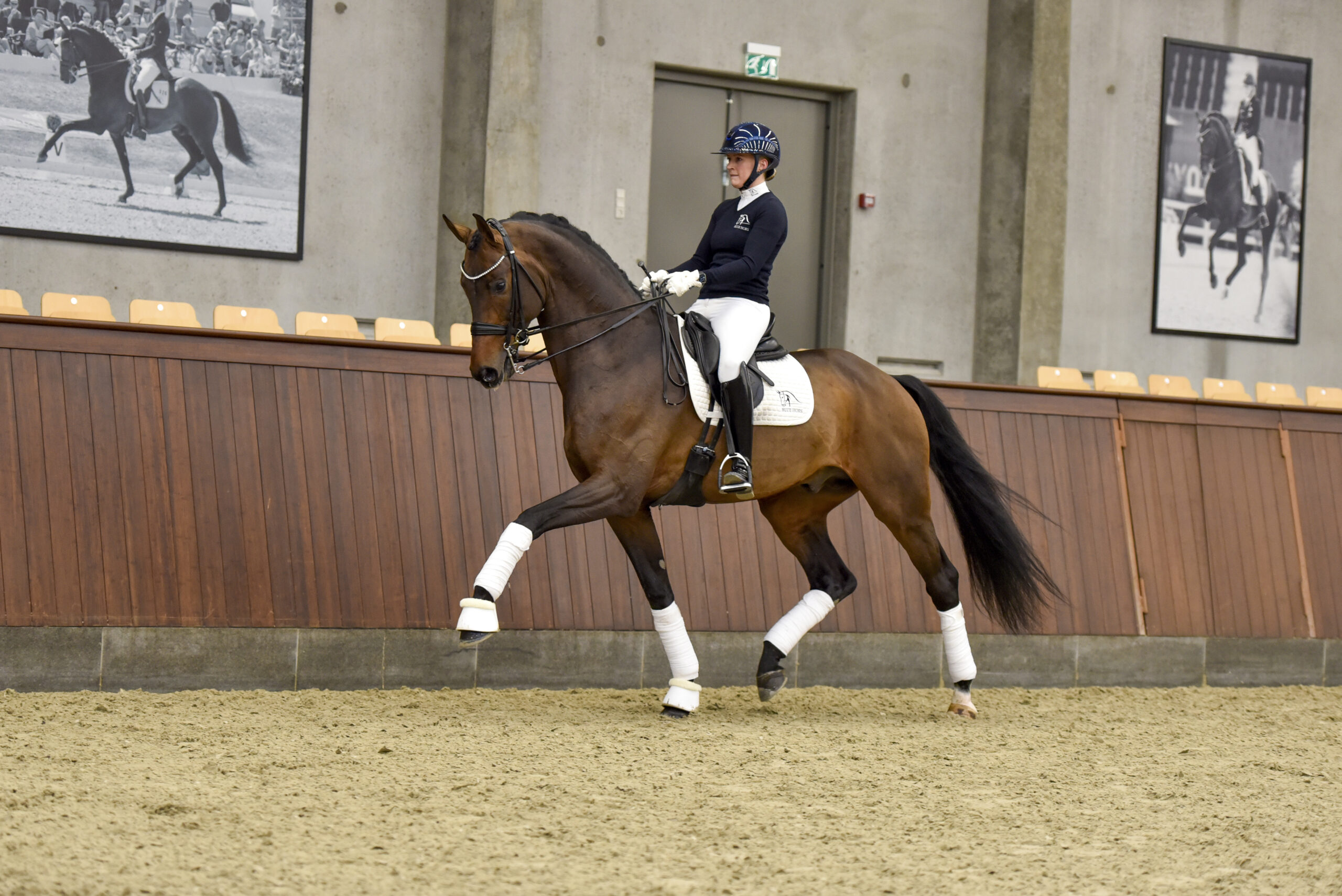 Blue Horse Zackerey (Blue Hors Zack x Sandro Hit), Dressage Stallion ...