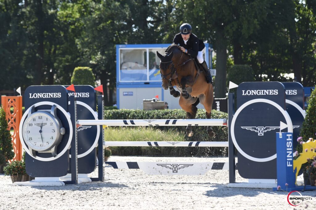 Showjumping Stallions – StableExpress