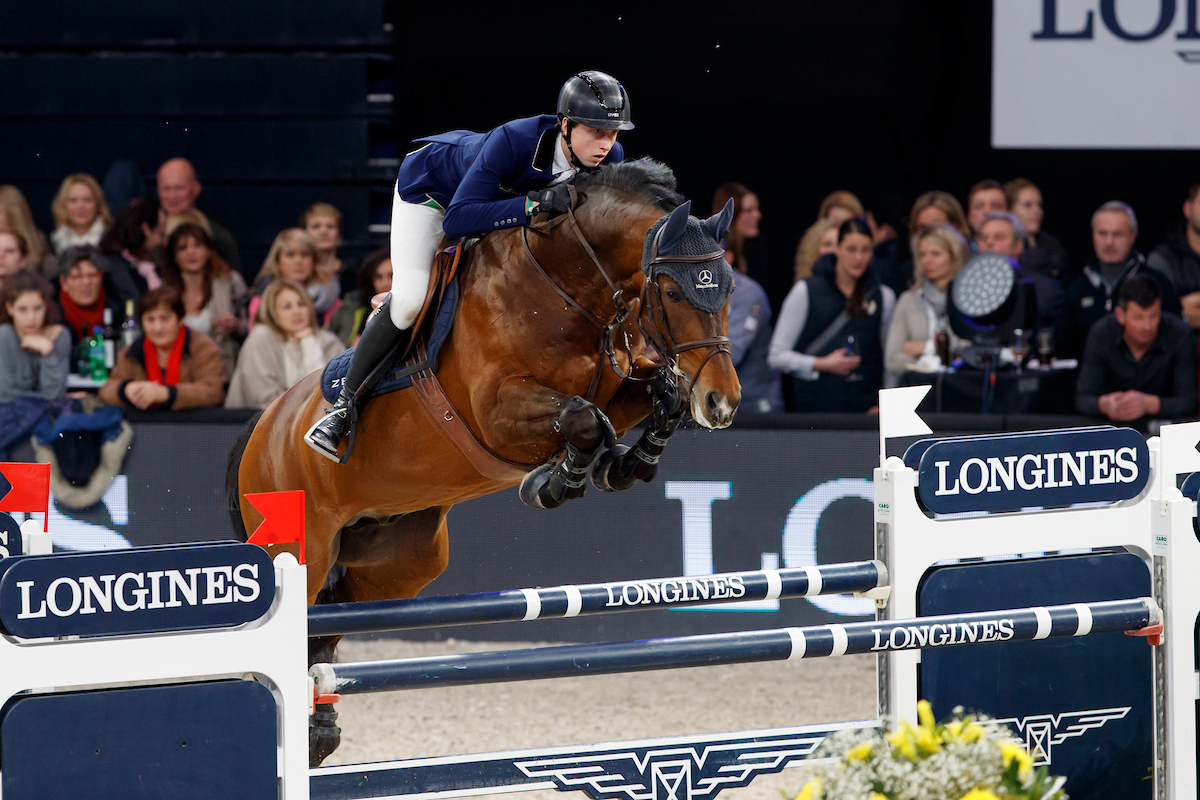 Showjumping Stallions – StableExpress