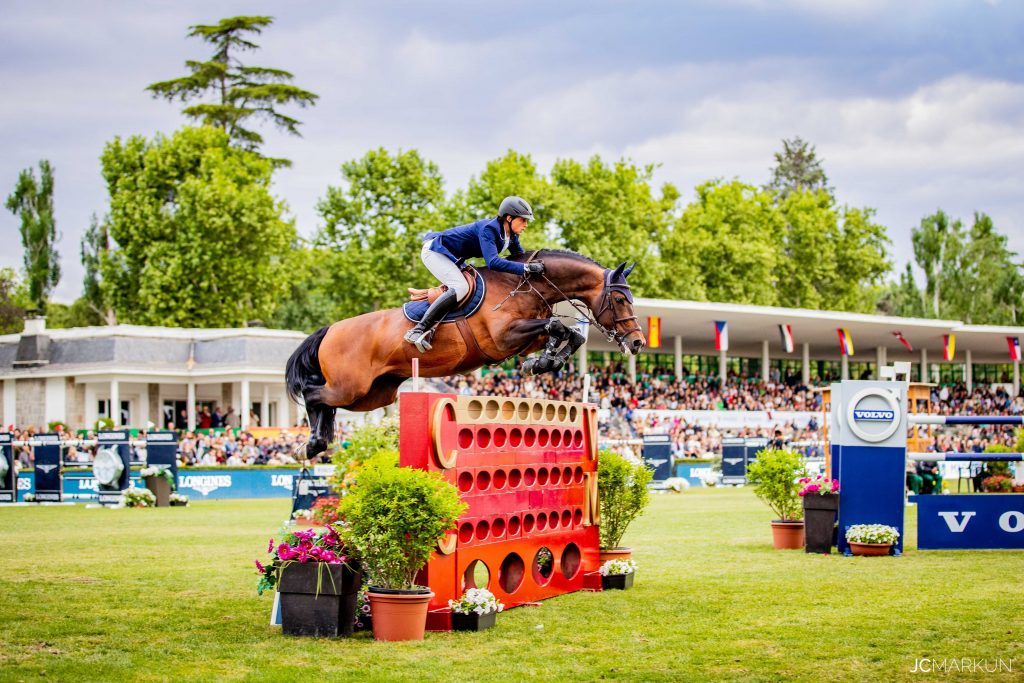 Chaplin (Verdi TN x Concorde), KWPN Showjumping Stallion – StableExpress