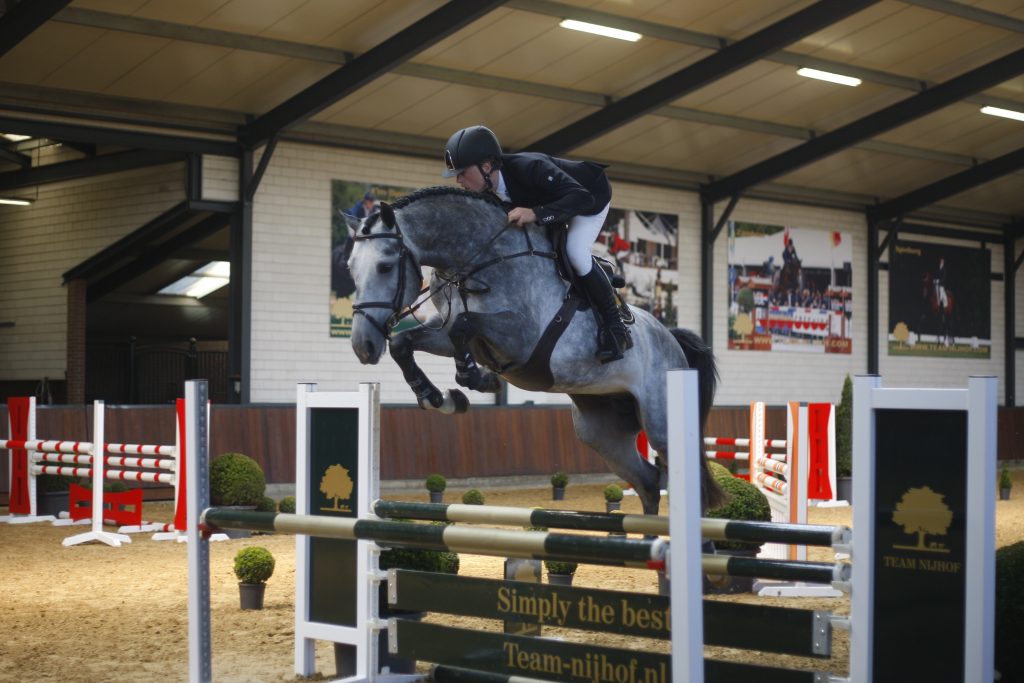 Showjumping Stallions – StableExpress