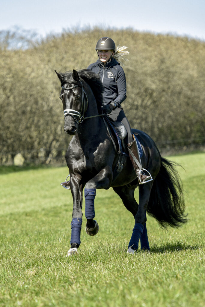 Kingston (Glock’s Toto Jr N.o.p. x Turbo Magic), Dressage Stallion ...