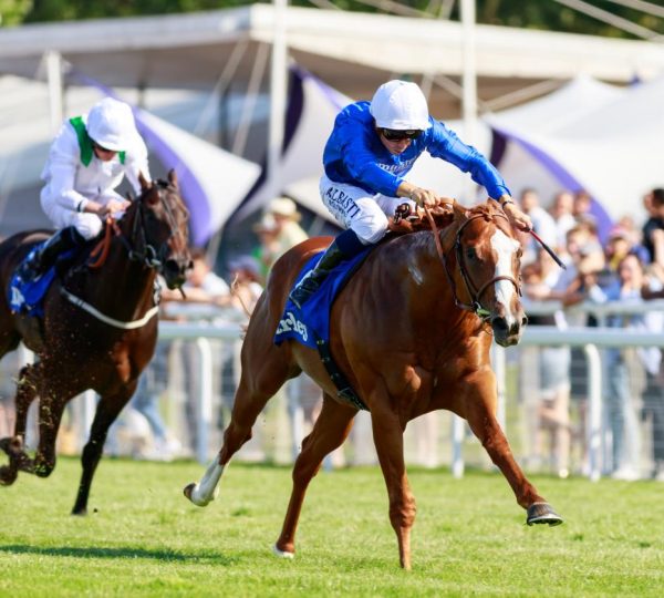 Earthlight – The Iconic Racehorse Stallion Now at Stud – StableExpress