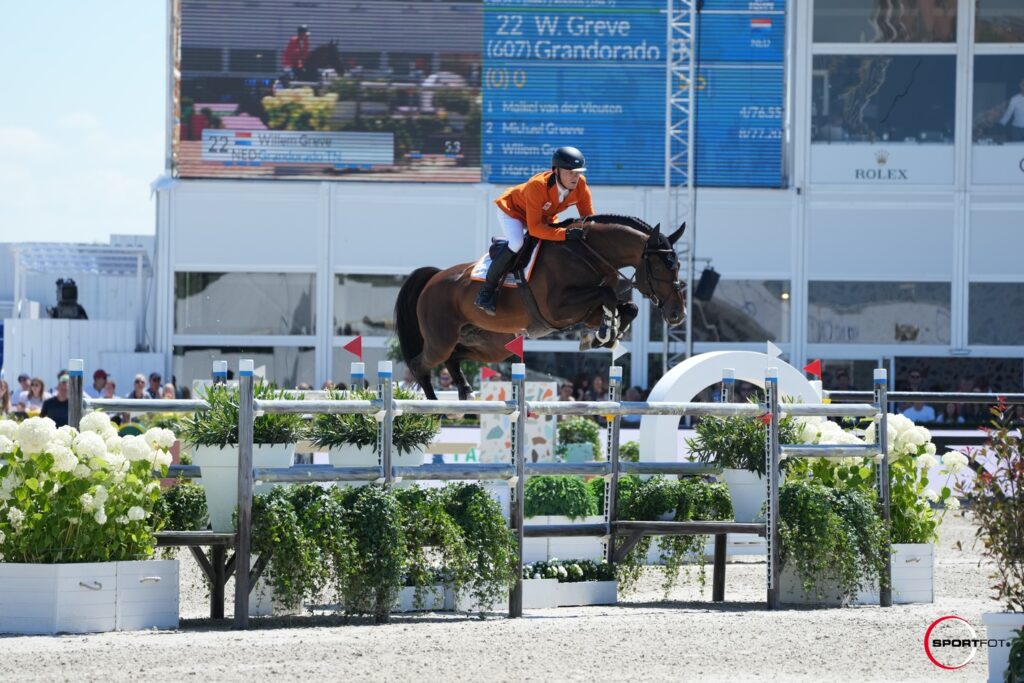 Showjumping Stallions – StableExpress