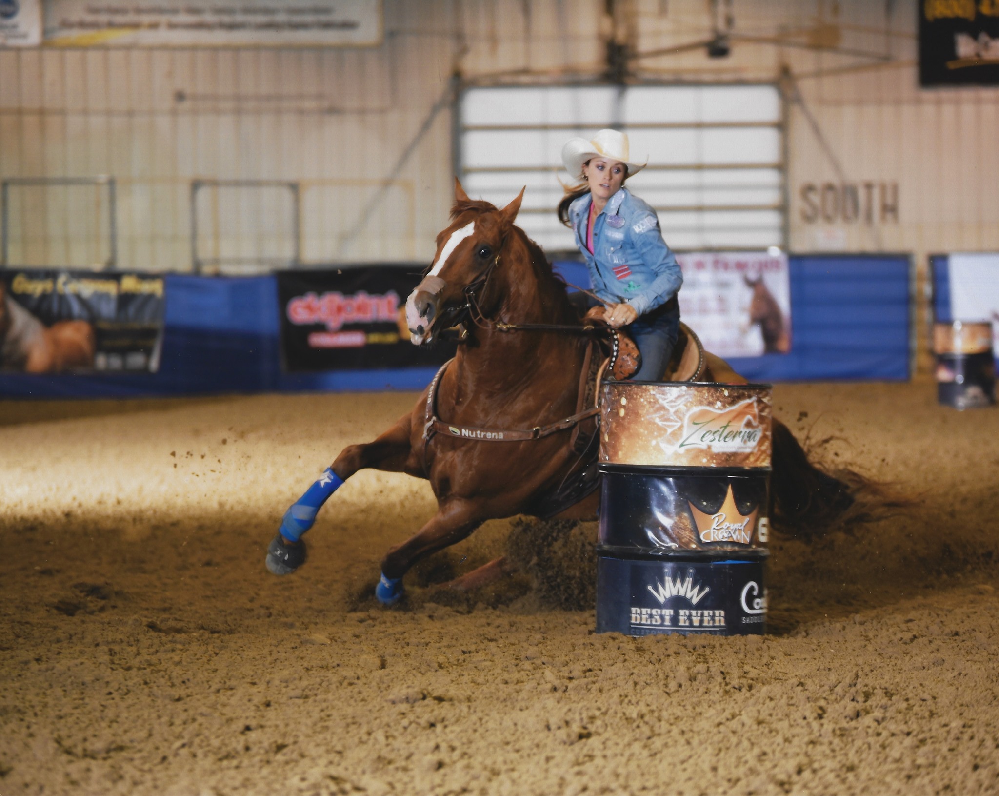 Green Creek Ranch, Quarter Horse Performance Stallions – Stephenville ...