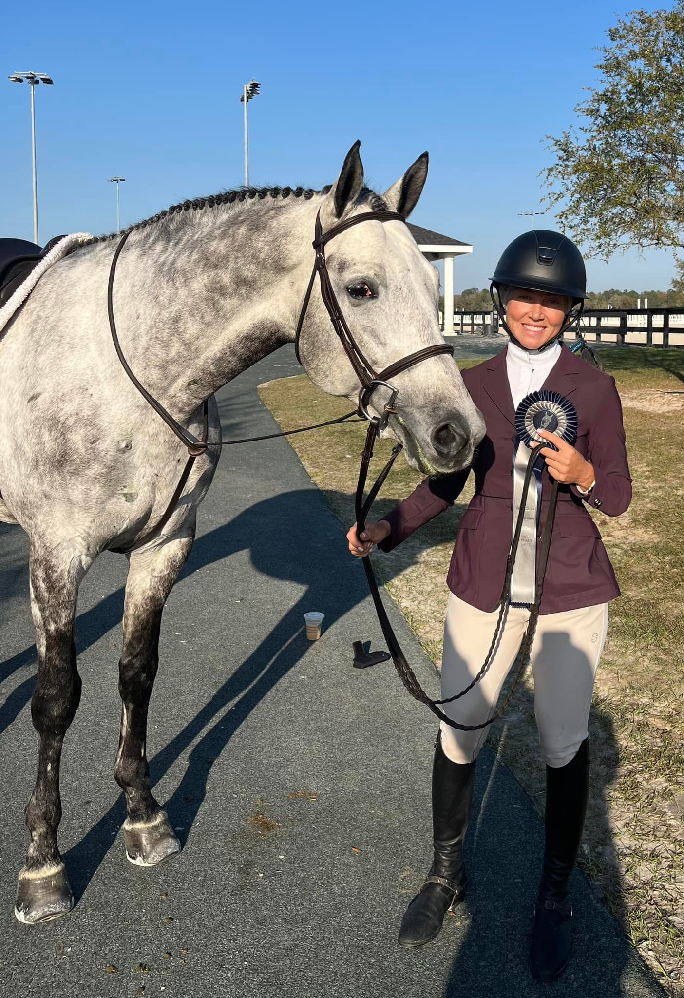 Nitro, Trakehner Stallion sired by Olympic Stallion Abdullah ...