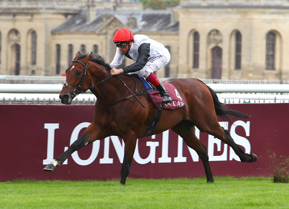 Race Horse Stallions – StableExpress