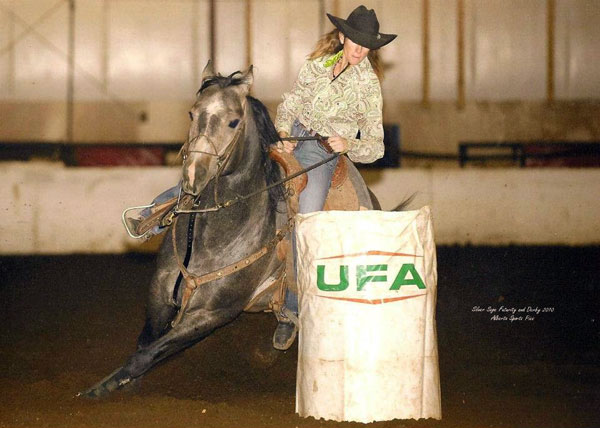 Suitor Quarter Horses, Alberta – StableExpress