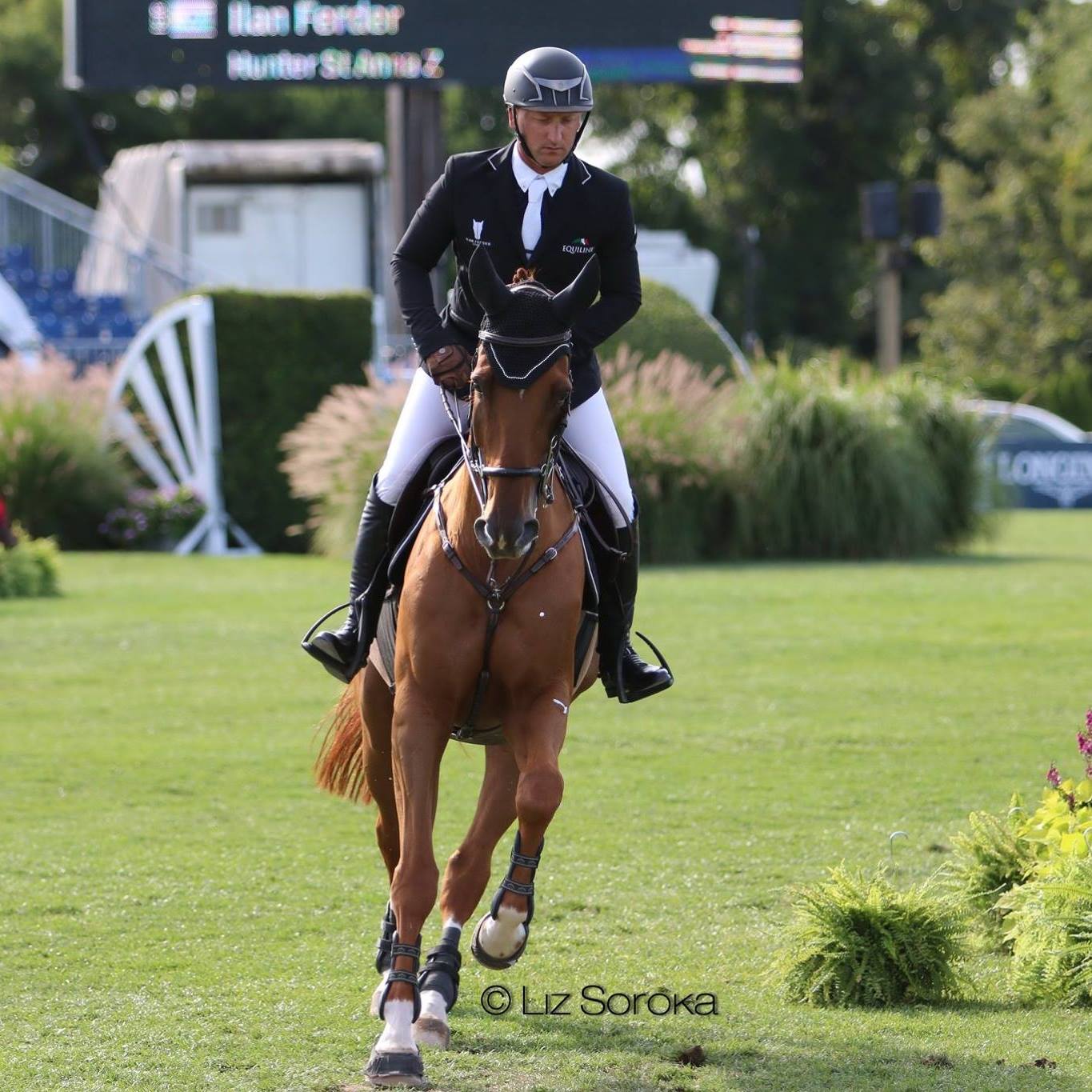 Harvey Smith - Stable Express